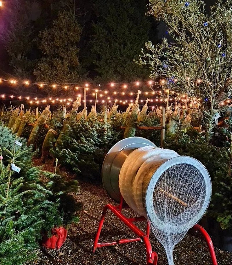 Christmas Tree Netting & Netting Funnels For Real Tree Sellers – Holly ...